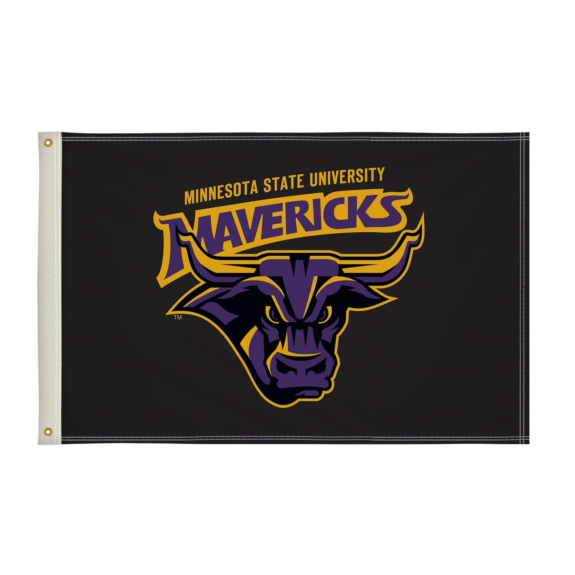 Victory Corps Minnesota State Mavericks Team 2' x 3' Flag Multicolor ...