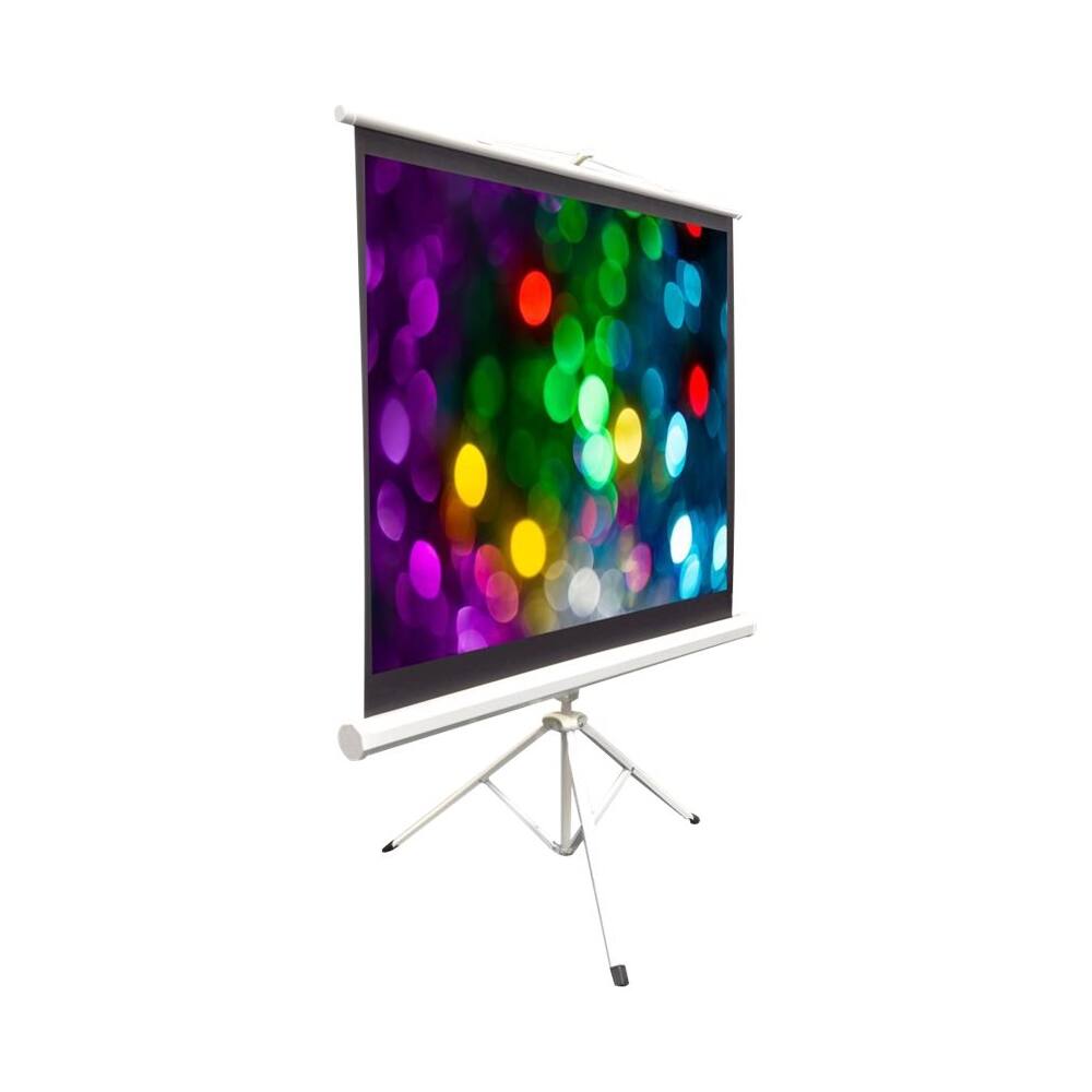Best Buy: Pyle Pro 40" Projector Screen White PRJTP42
