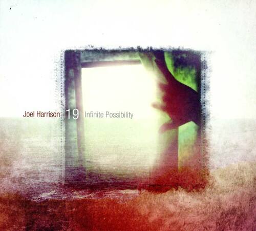 Joel Harrison 19 Infinite Possibility COMPACT DISCS [CD] - Best Buy