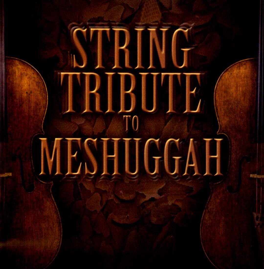 String Tribute to Meshuggah [CD] - Best Buy