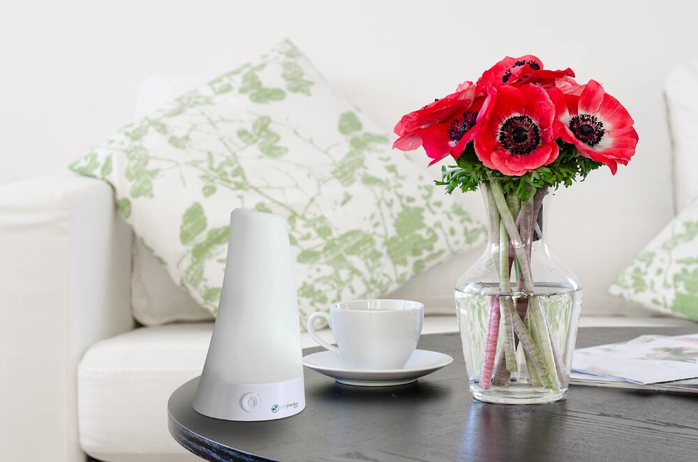 Best Buy: PureGuardian Aromatherapy Essential Oil Diffuser with ...