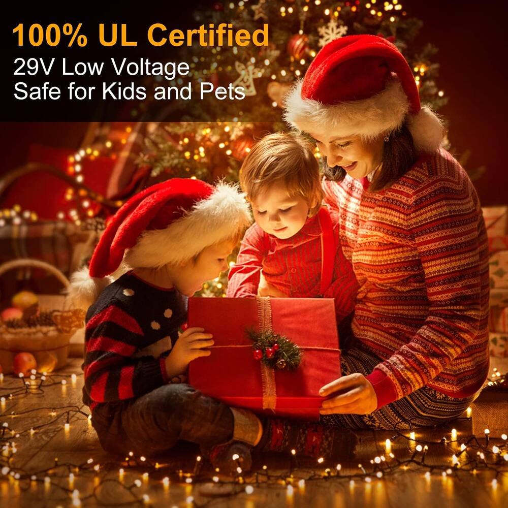 PARKER SLATER 105 foot, 300 LED Christmas lights that are plug in Warm ...