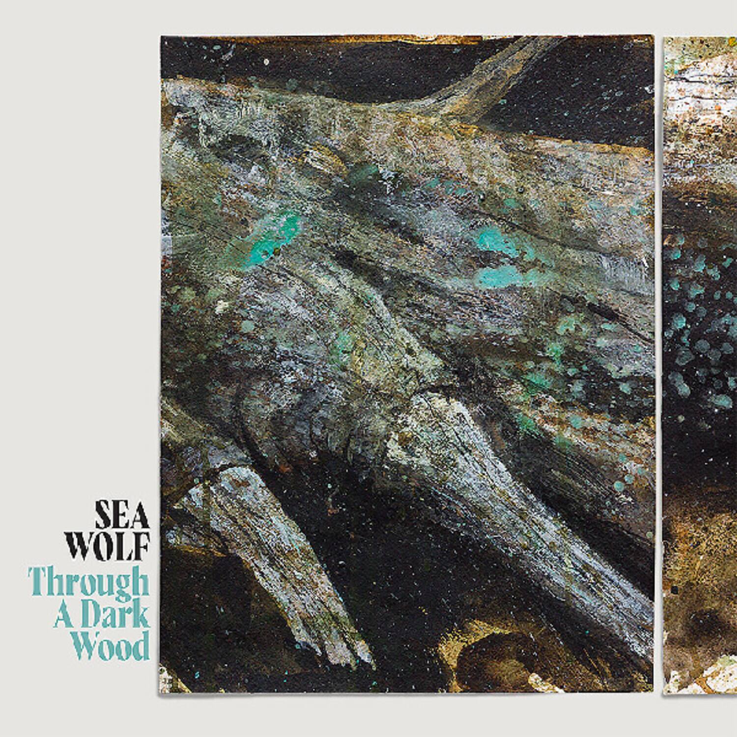 Sea Wolf Through A Dark Wood VINYL LP - Best Buy