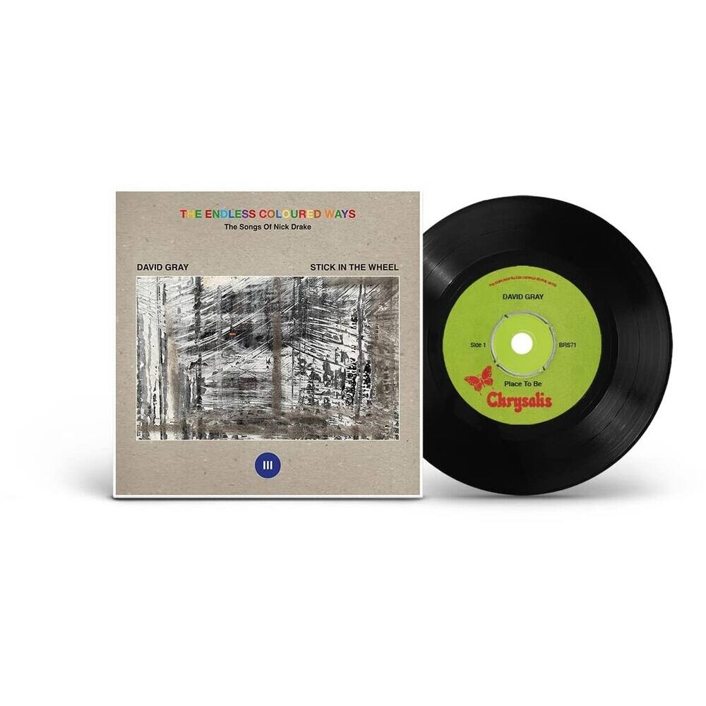 The Endless Coloured Ways: The Songs of Nick Drake David Gray / Stick ...