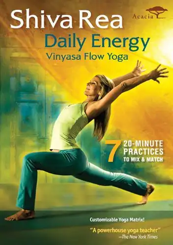 Daily Energy Flow DVD - Best Buy