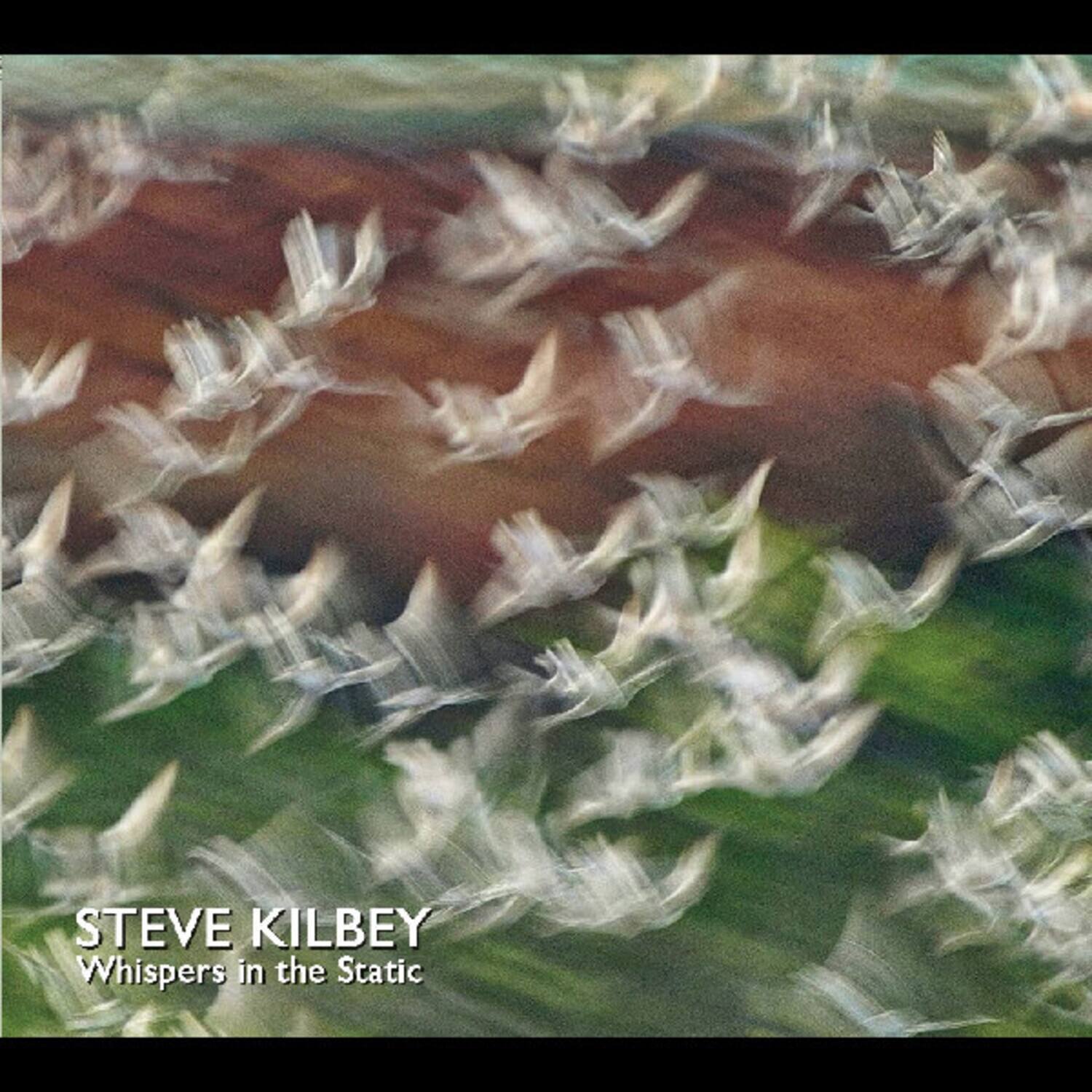 Steve Kilbey Whispers In The Static COMPACT DISCS [CD] - Best Buy