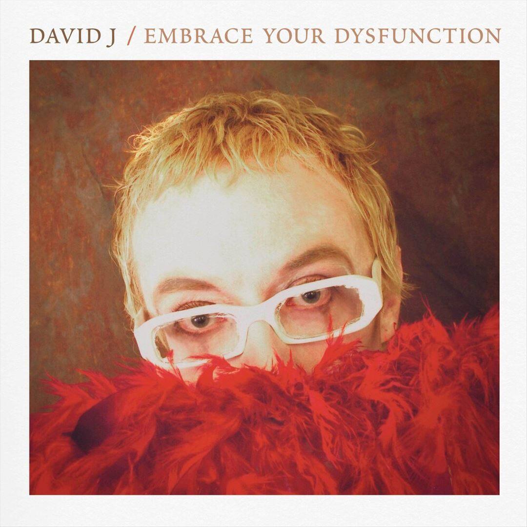 Best Buy: Embrace Your Dysfunction [LP] VINYL