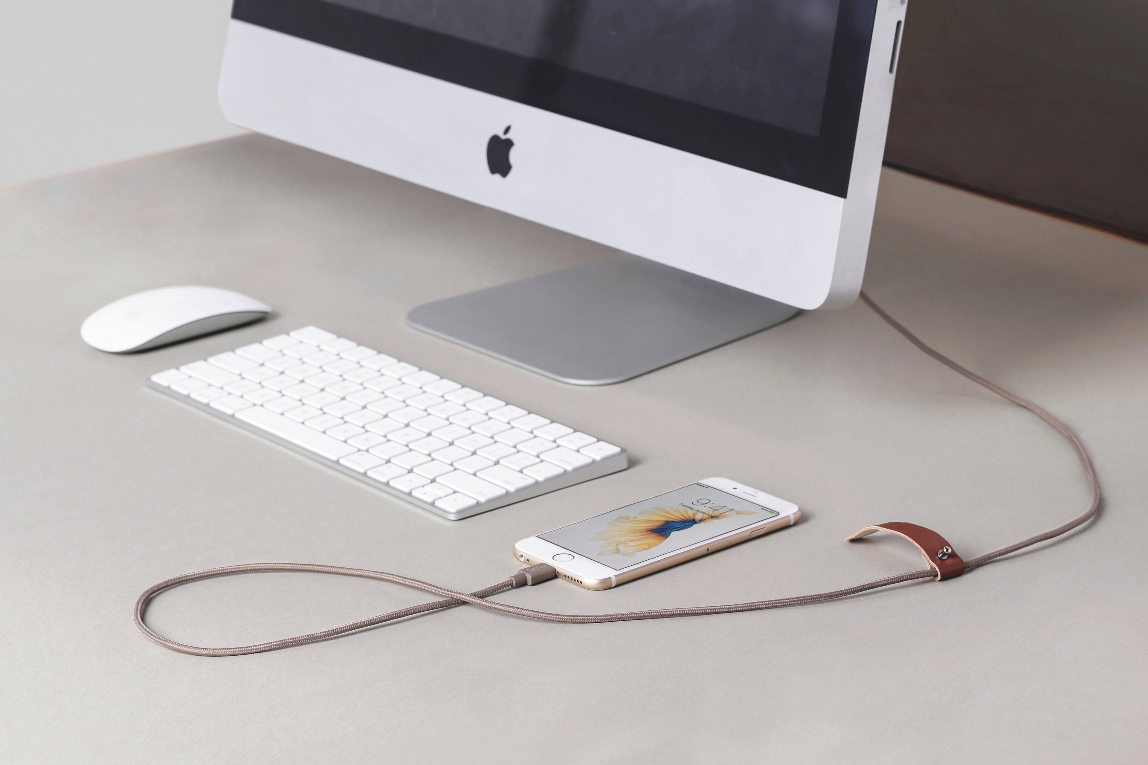 Best Buy: Native Union Apple MFi Certified 4' Lightning USB Charging ...