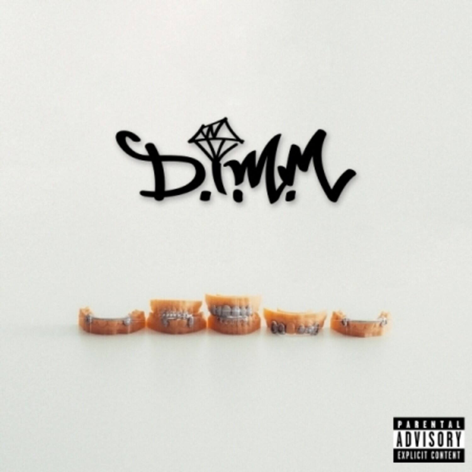 Vvs D.I.M.M incl. Guarantee Card, Pendant Box, 72pg Photobook ...
