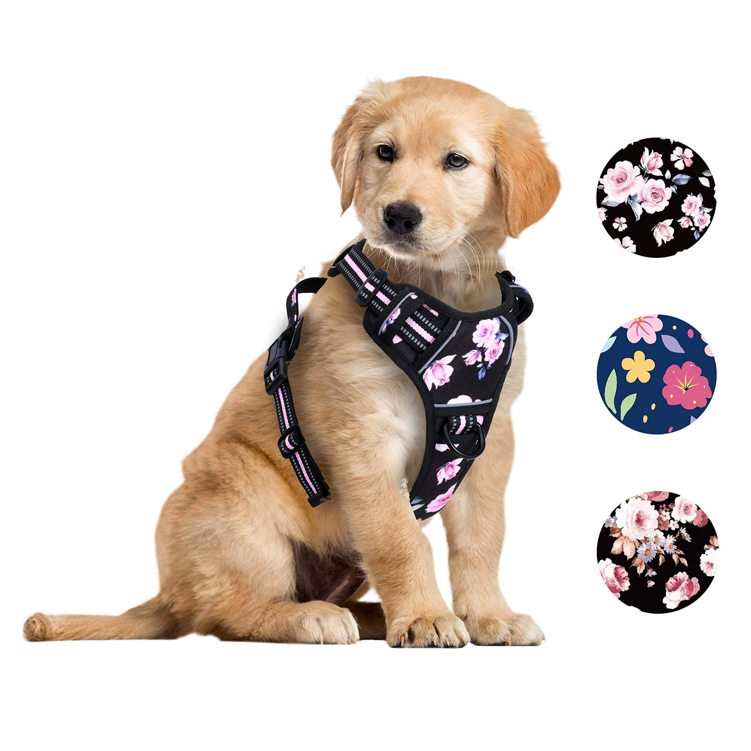 Paradigms Interiors Dog Harness Working Molle Vest With Handle For Dogs ...