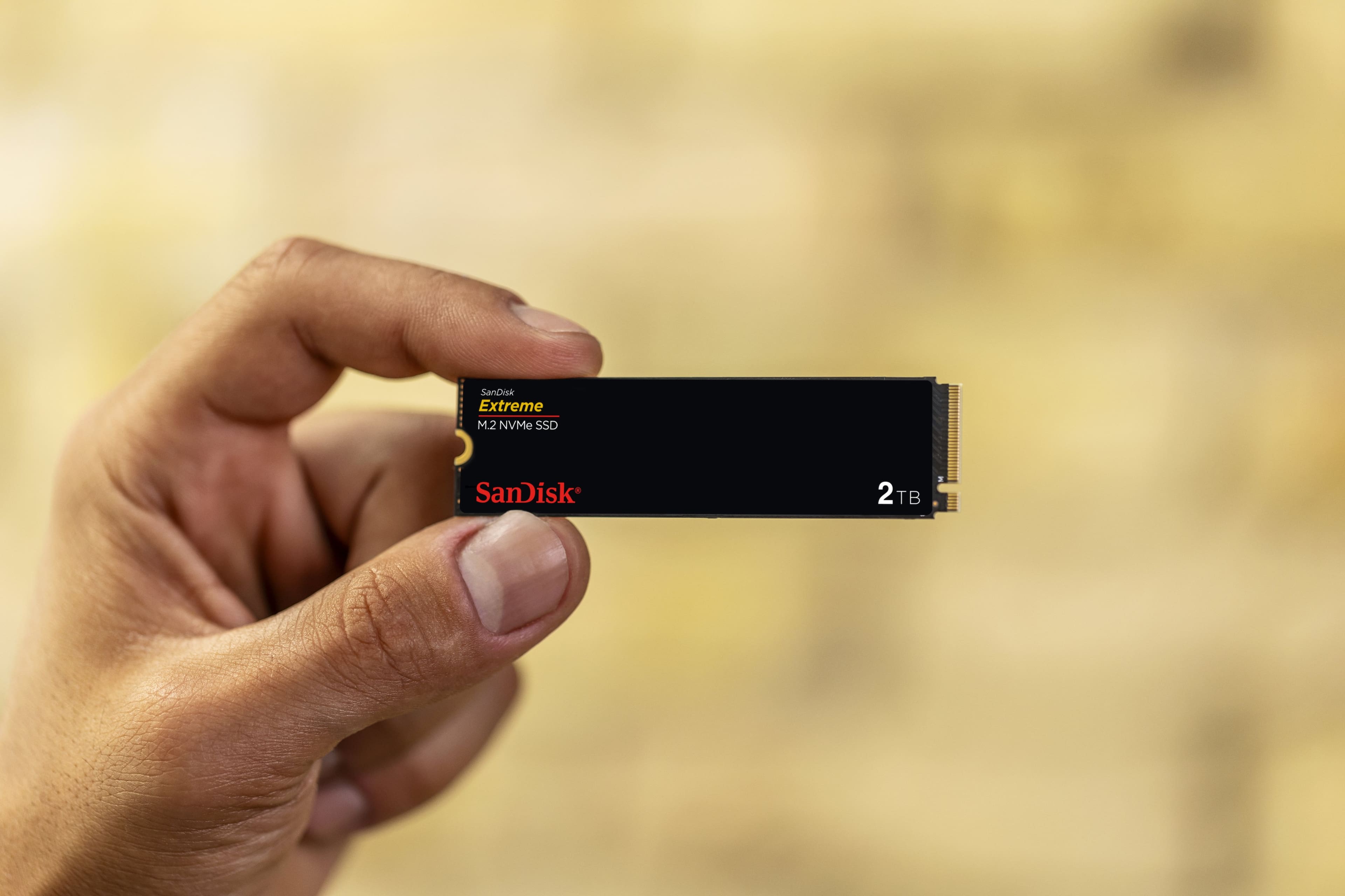 SanDisk SDSSDX3N 2T00 G26