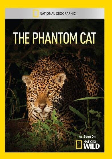 The Phantom Cat DVD - Best Buy