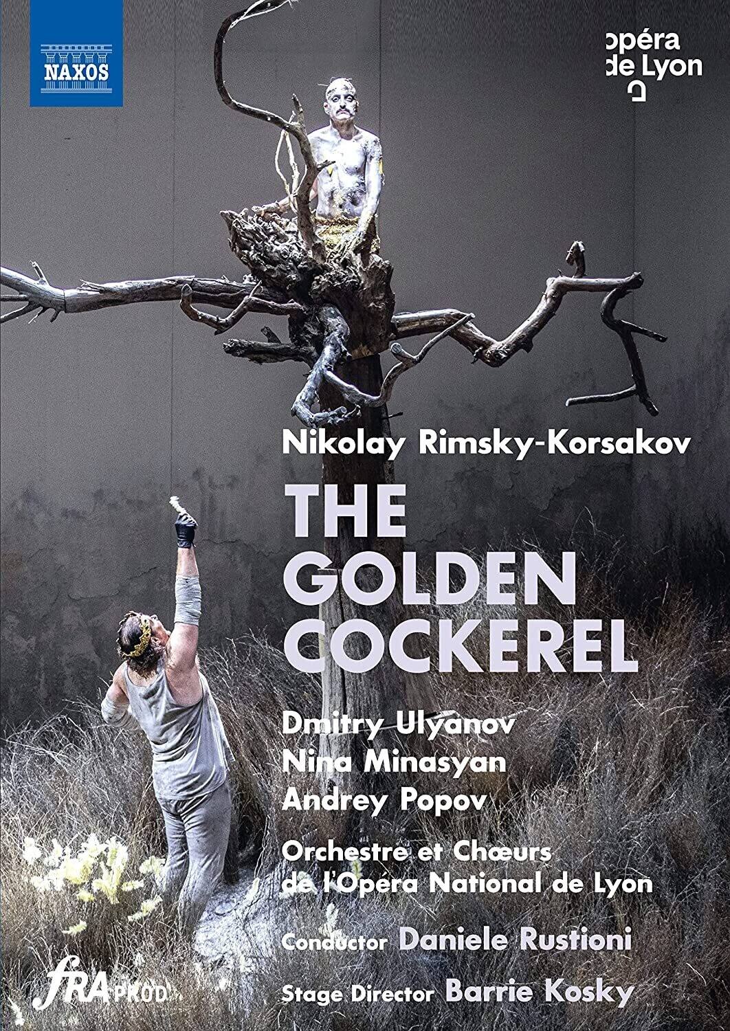 Dmitry Ulyanov Golden Cockerel DVD - Best Buy