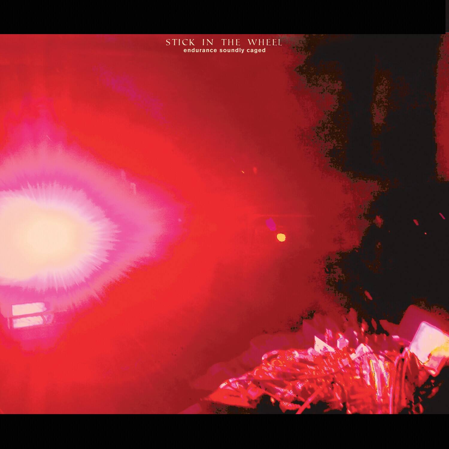 Stick In The Wheel Endurance Soundly Caged COMPACT DISCS [CD] - Best Buy