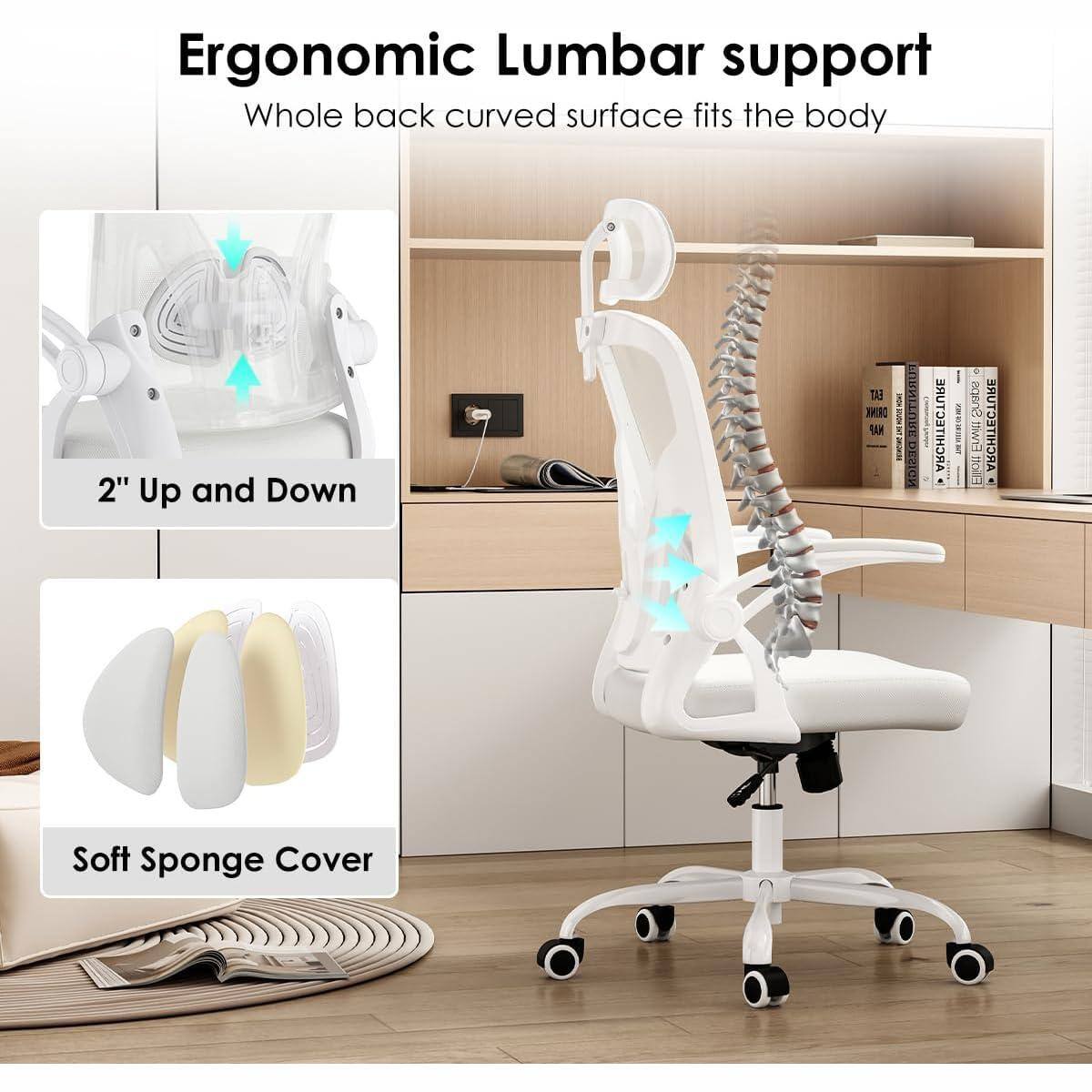 Petrimins Ergonomic Office Chair with 3 Layered Lumbar Support ...