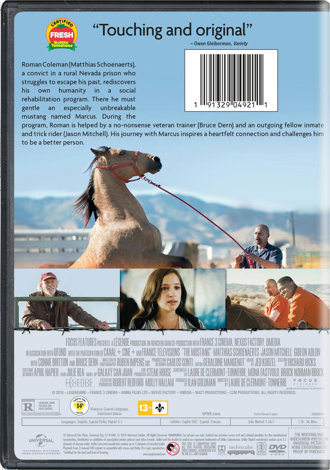 The Mustang [DVD] [Standard] - Best Buy