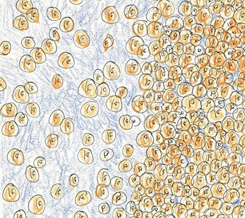 David Greenberger & Dozens Greenberger, David & Dozens : Near the Edge ...