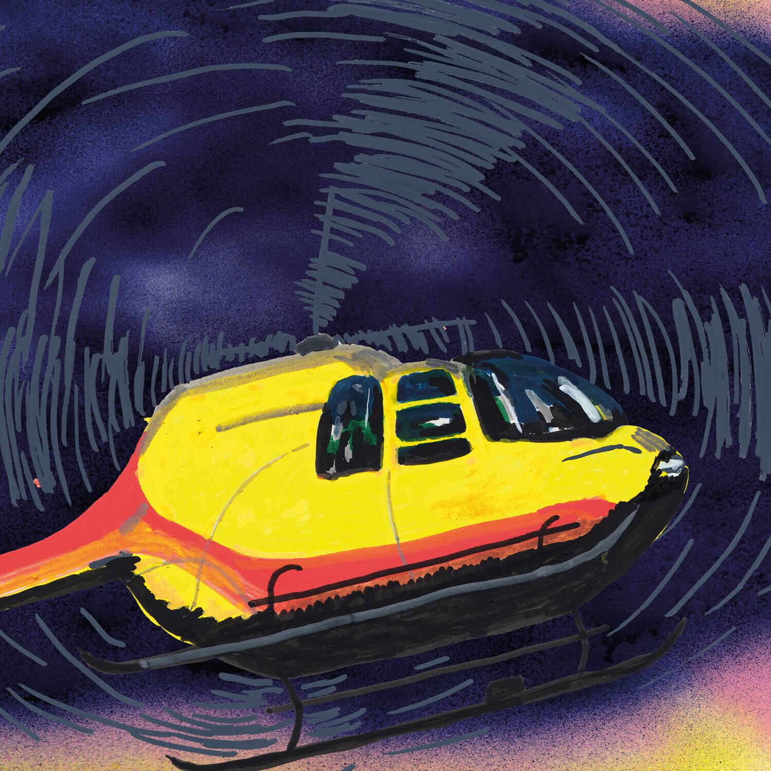 Kiwi Jr. Chopper COMPACT DISCS - Best Buy