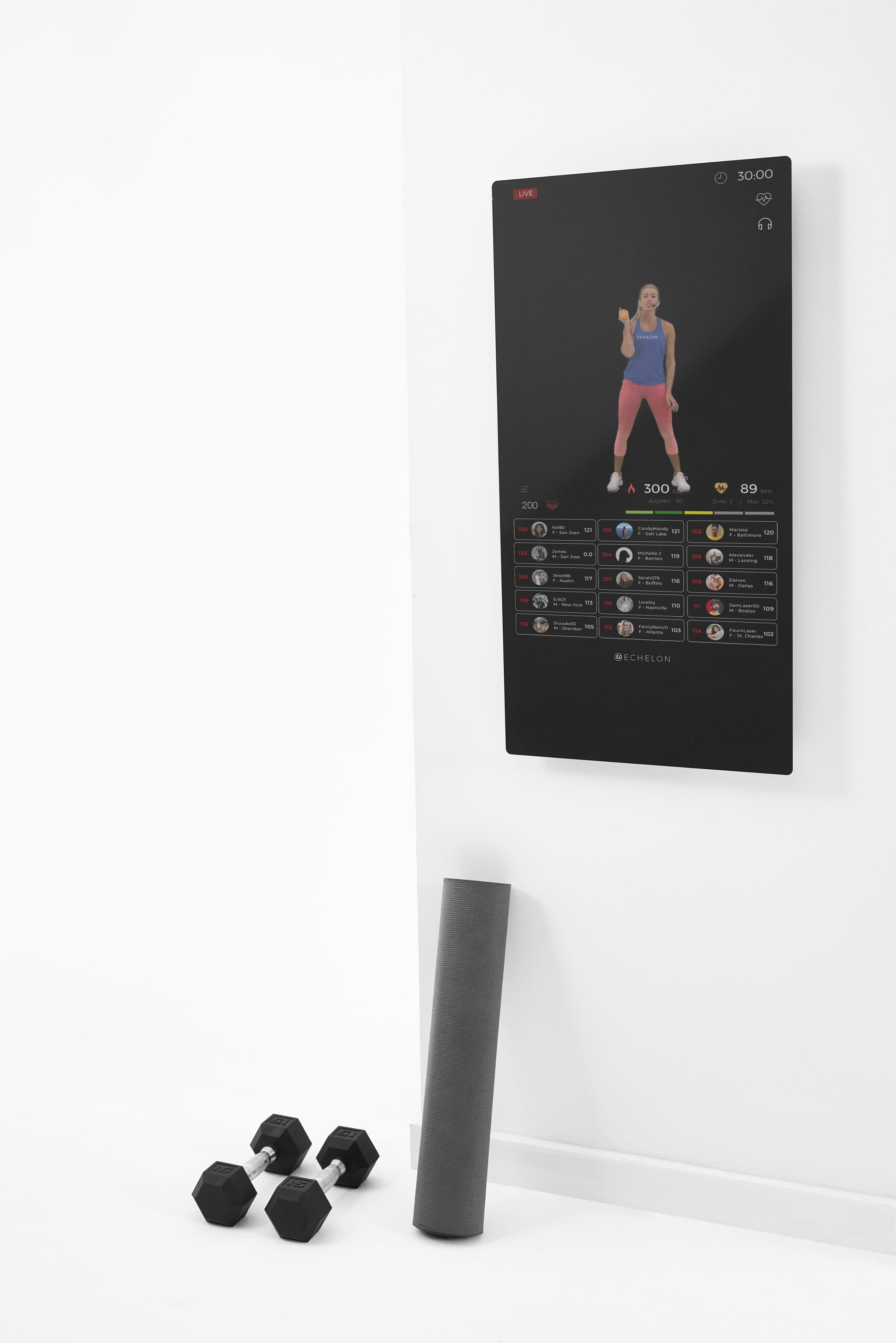 Customer Reviews: Echelon Reflect 50" Smart Mirror with Built-In Full ...