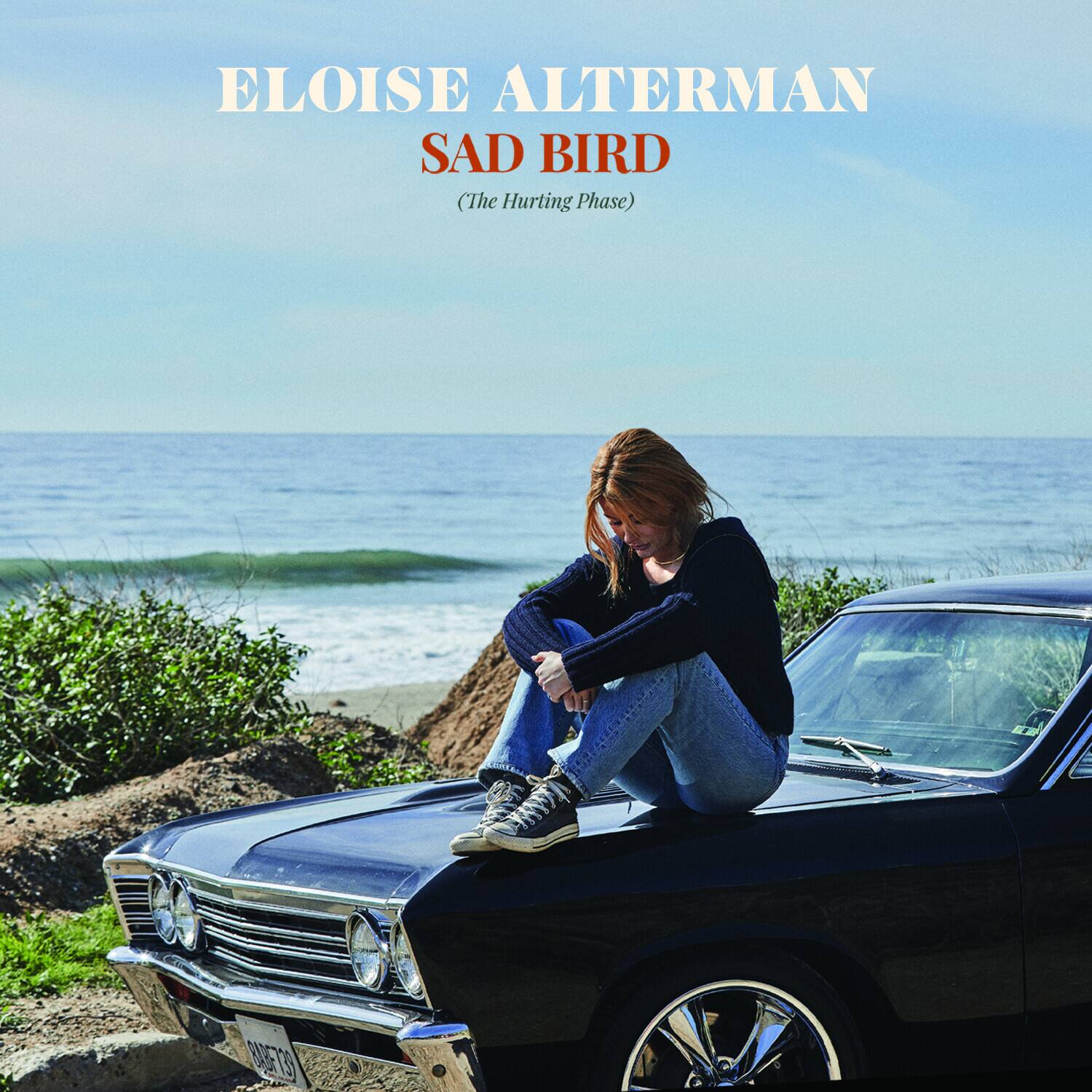 Eloise Alterman Sad Bird COMPACT DISCS [CD] - Best Buy