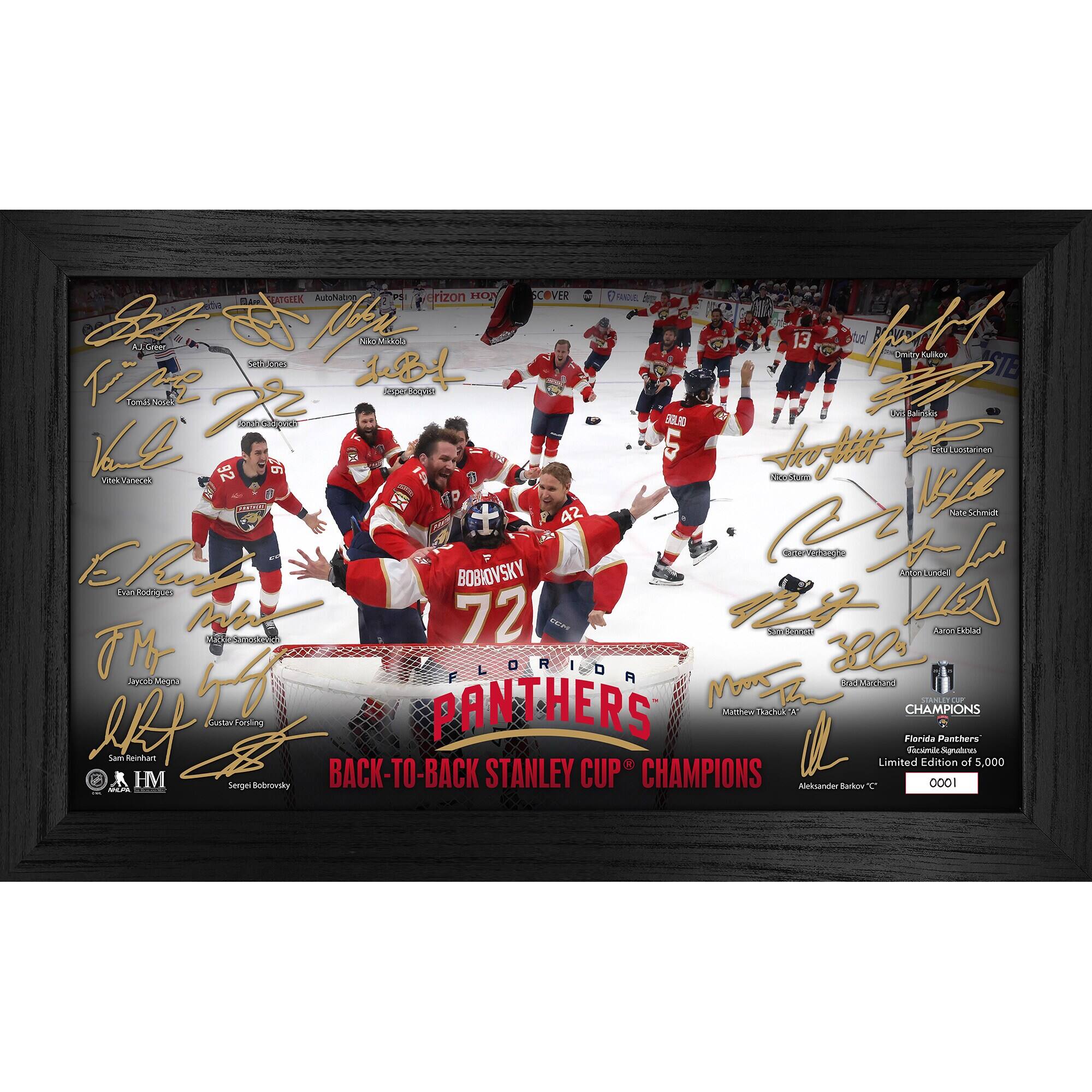 Florida Panthers and NHL Alabama State Hornets - Best Buy