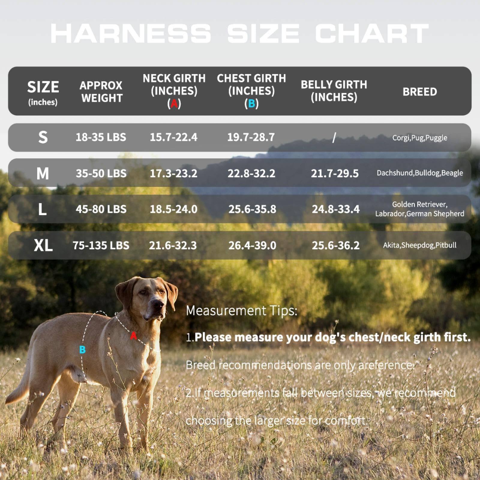 Paradigms Interiors Dog Harness Sized No Pull With Handle Easy On And ...