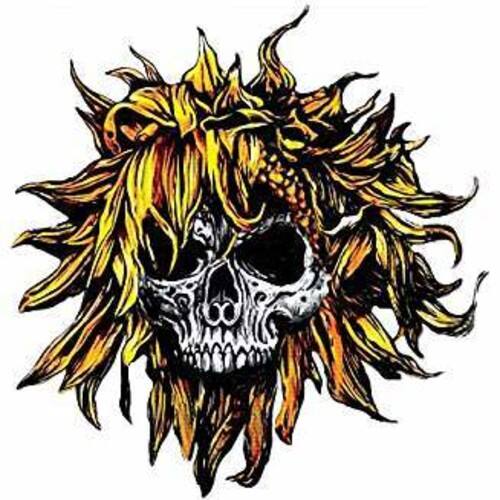 Sunflower Dead C.O.M.A. COMPACT DISCS [CD] - Best Buy