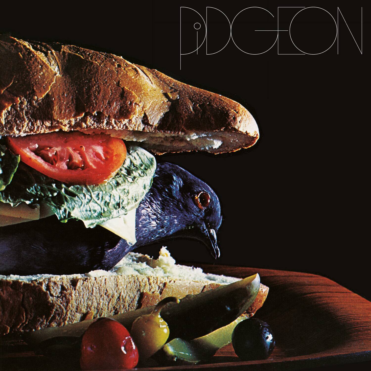 Pidgeon Pidgeon COMPACT DISCS [CD] - Best Buy