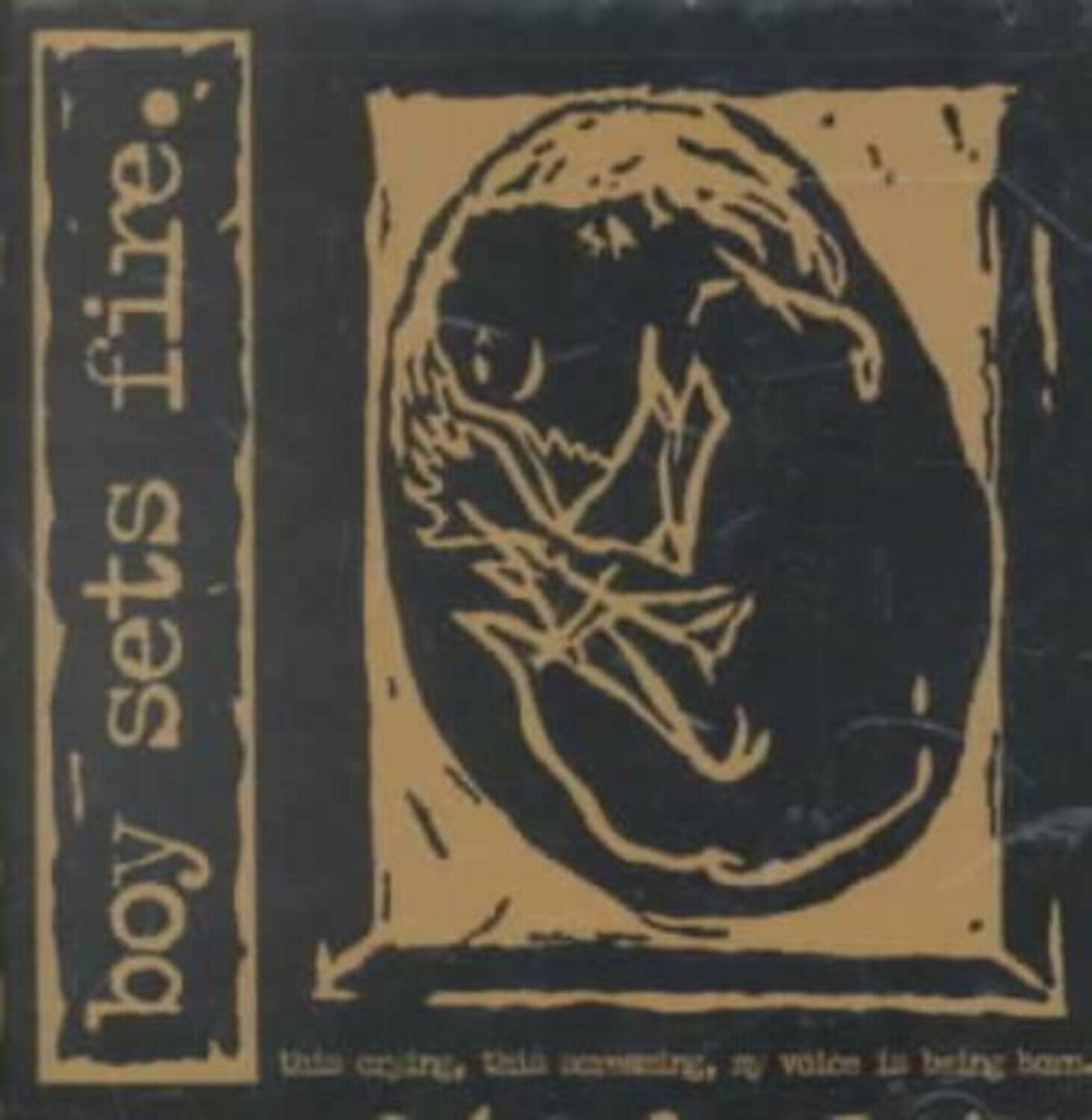 Boysetsfire This Crying This Screaming My Voice Is Being Born VINYL LP ...