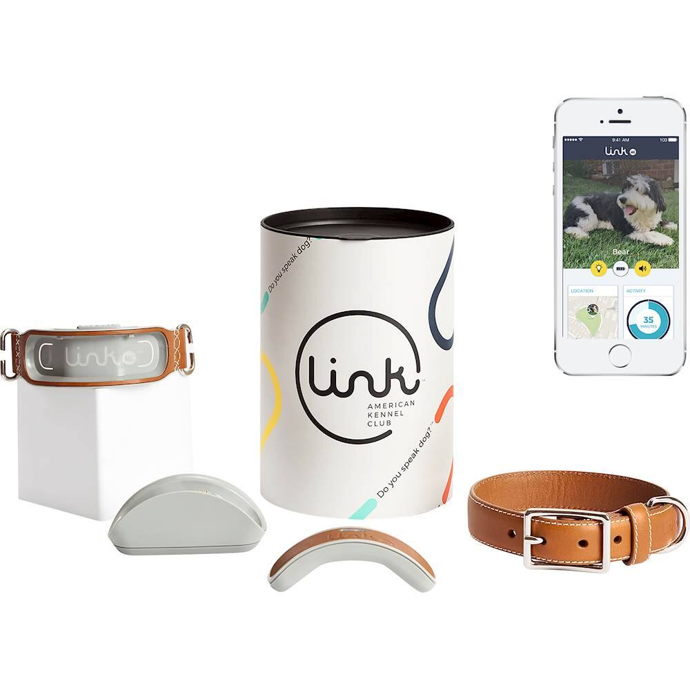 Best Buy: Link AKC Smart Dog Classic Leather Collar (Large) KITTN03