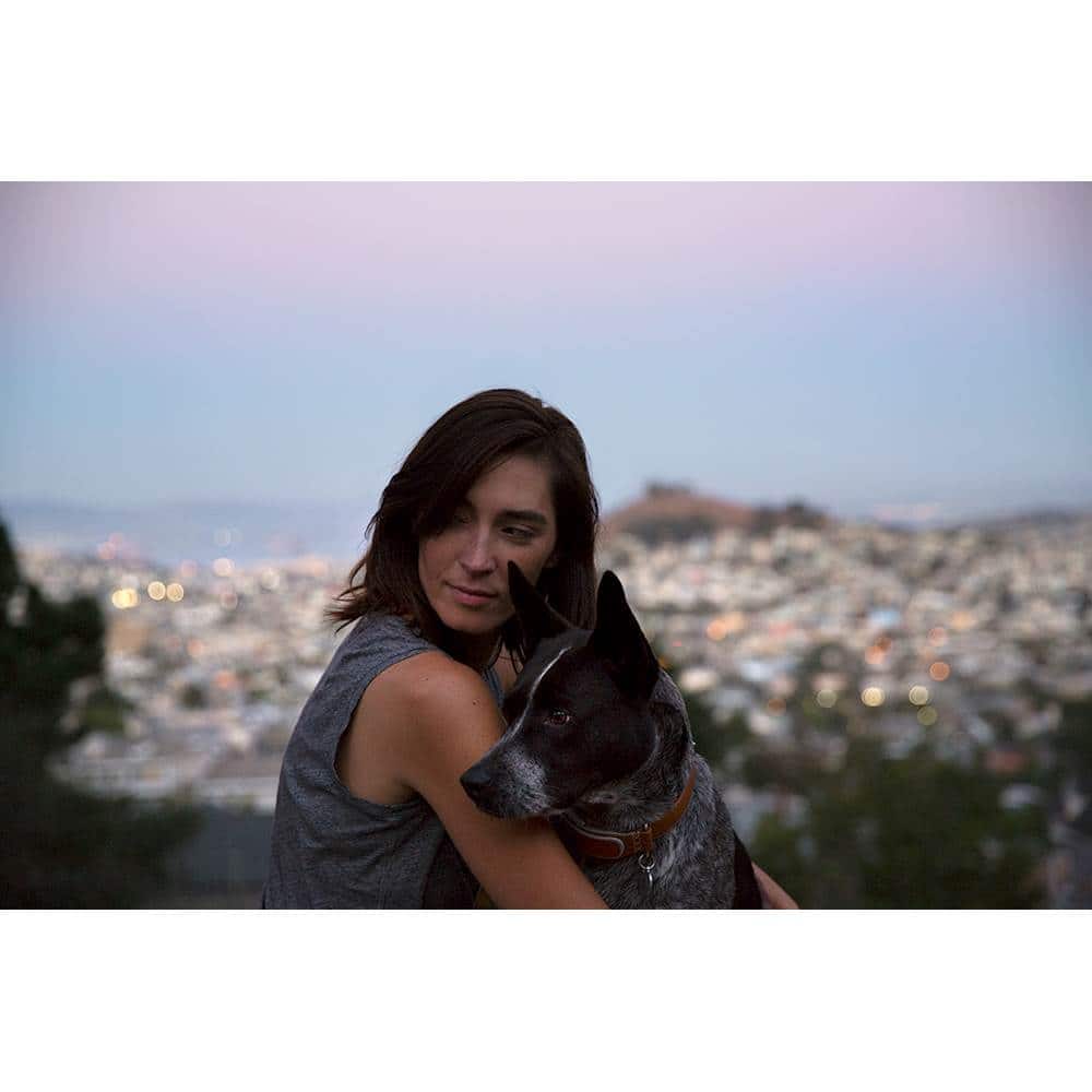 Best Buy: Link AKC Smart Dog Classic Leather Collar (Large) KITTN03