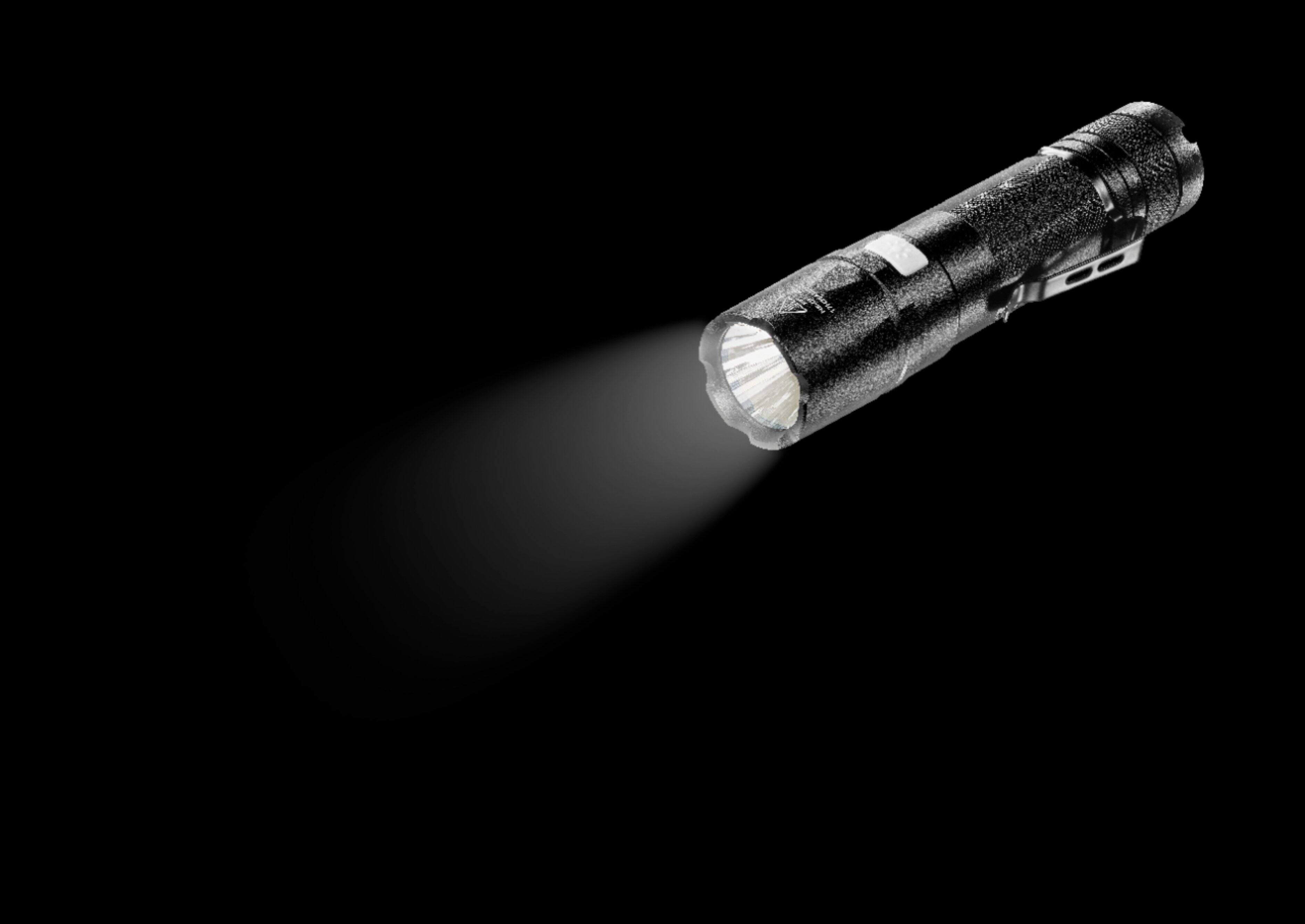 Insignia™ 350 Lumen LED Flashlight NS-CFL100A - Best Buy