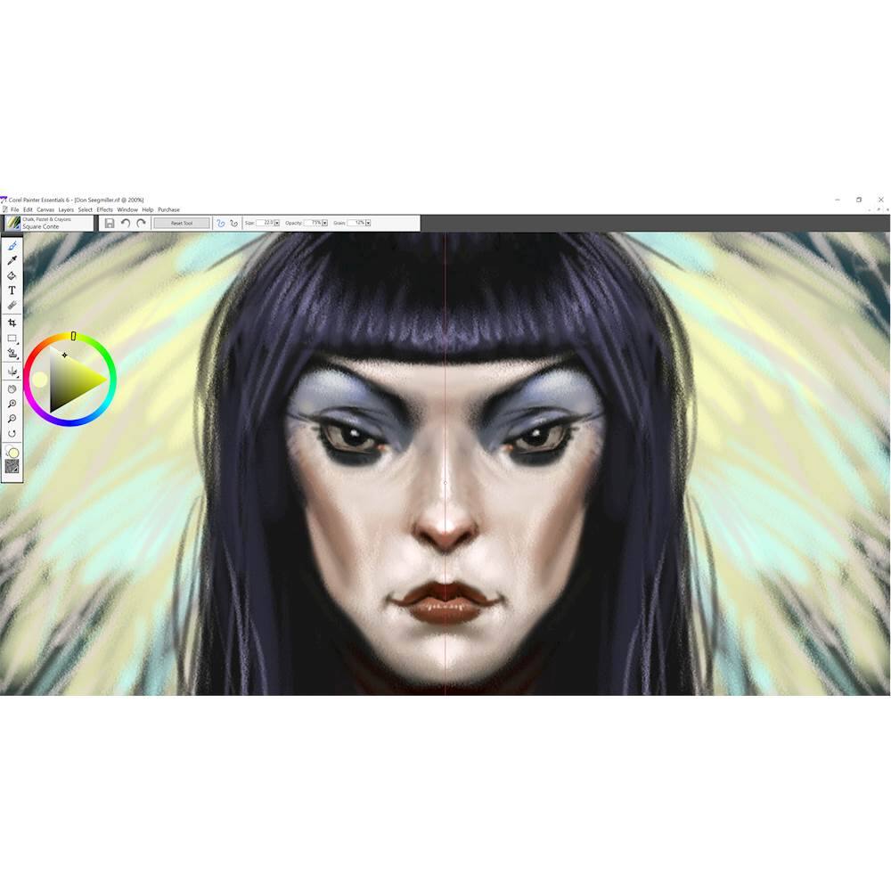 Best Buy: Corel Painter Essentials 6 Windows [Digital] ESDPE6MLPCM