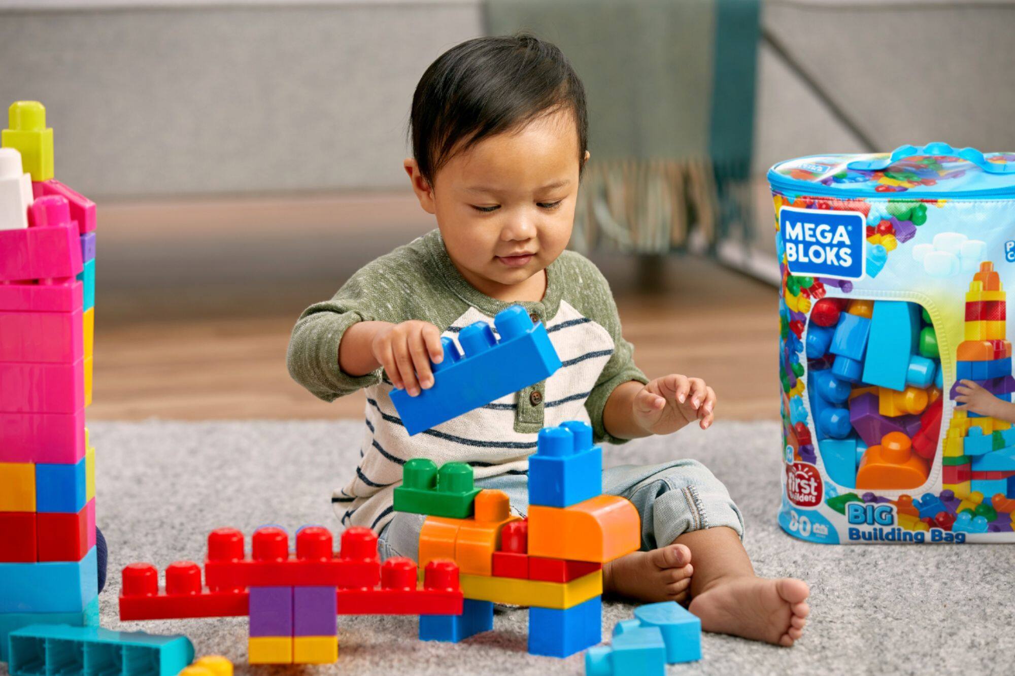 Mega Bloks First Builders Big Building Bag Building Set DCH63 - Best Buy