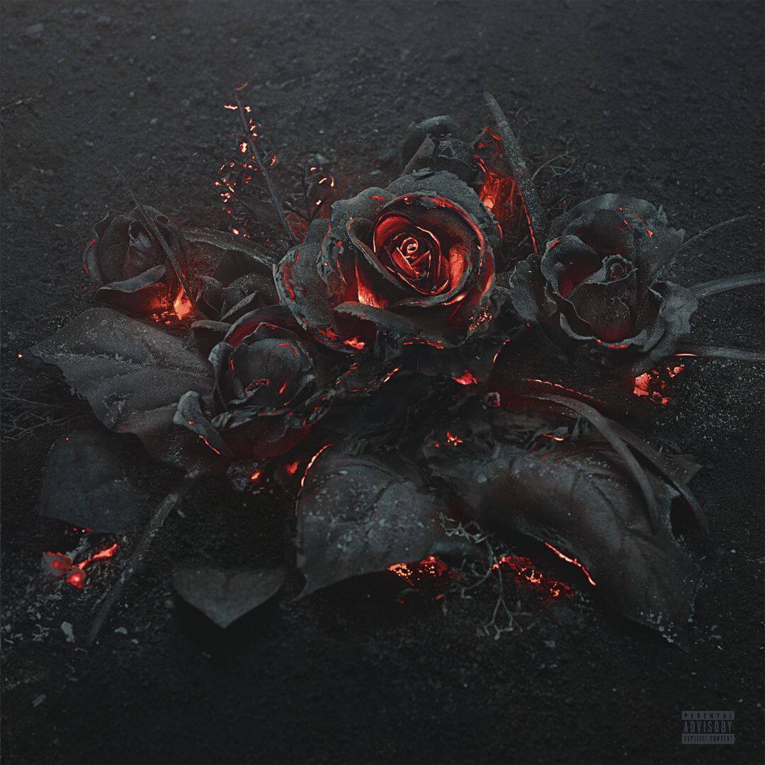 Best Buy: Evol [LP] VINYL