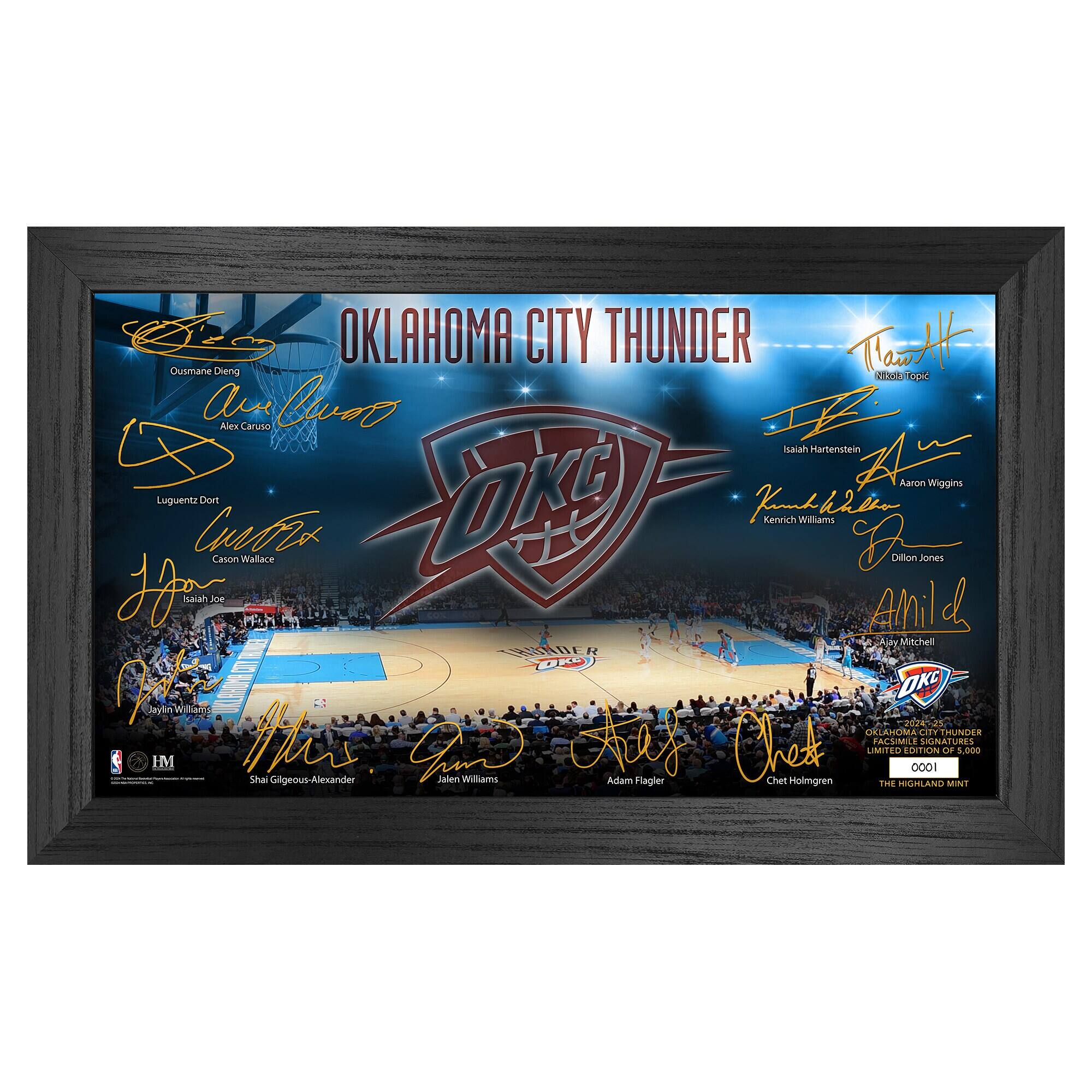 Highland Mint Oklahoma City Thunder Signature Court Print Multicolor ...