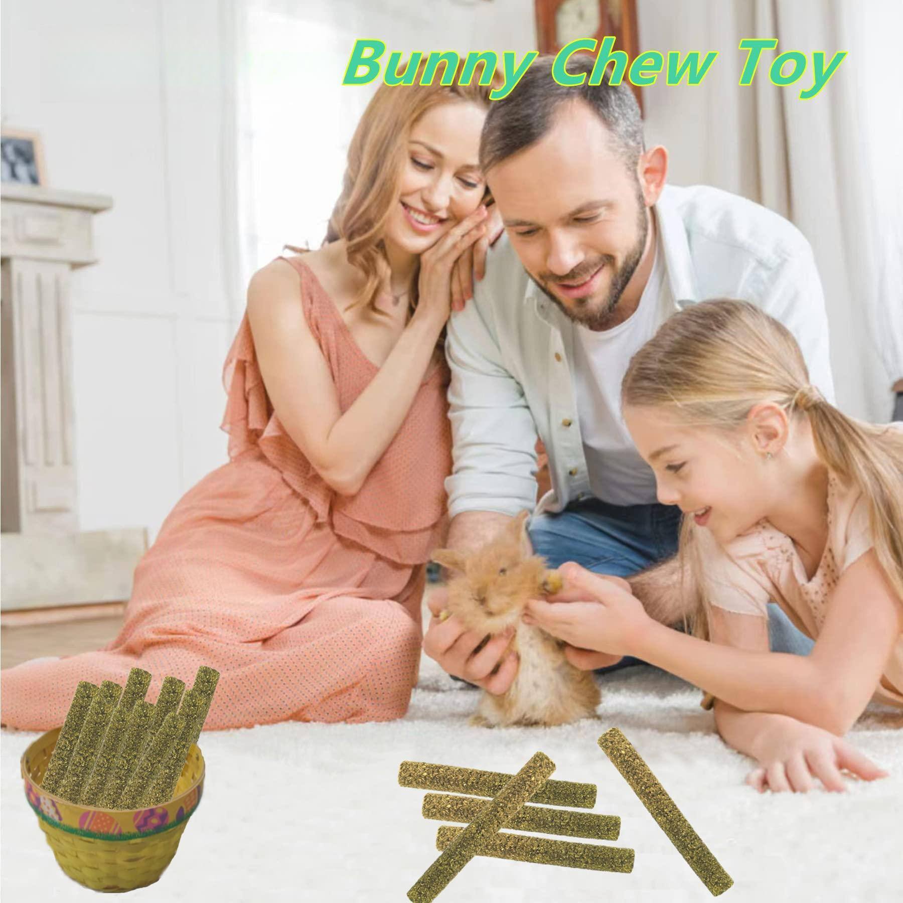 Live At Space Rabbit Toys Timothy Stick For Guinea Pig Bunny Teeth ...