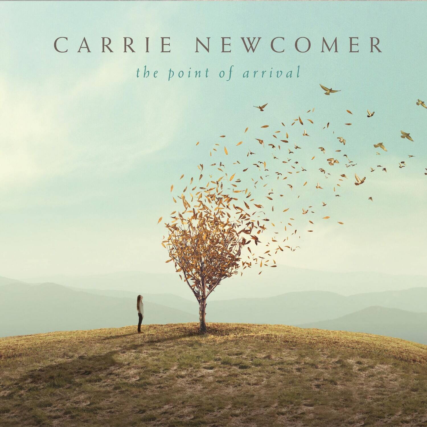 Carrie Newcomer Point Of Arrival COMPACT DISCS [CD] - Best Buy