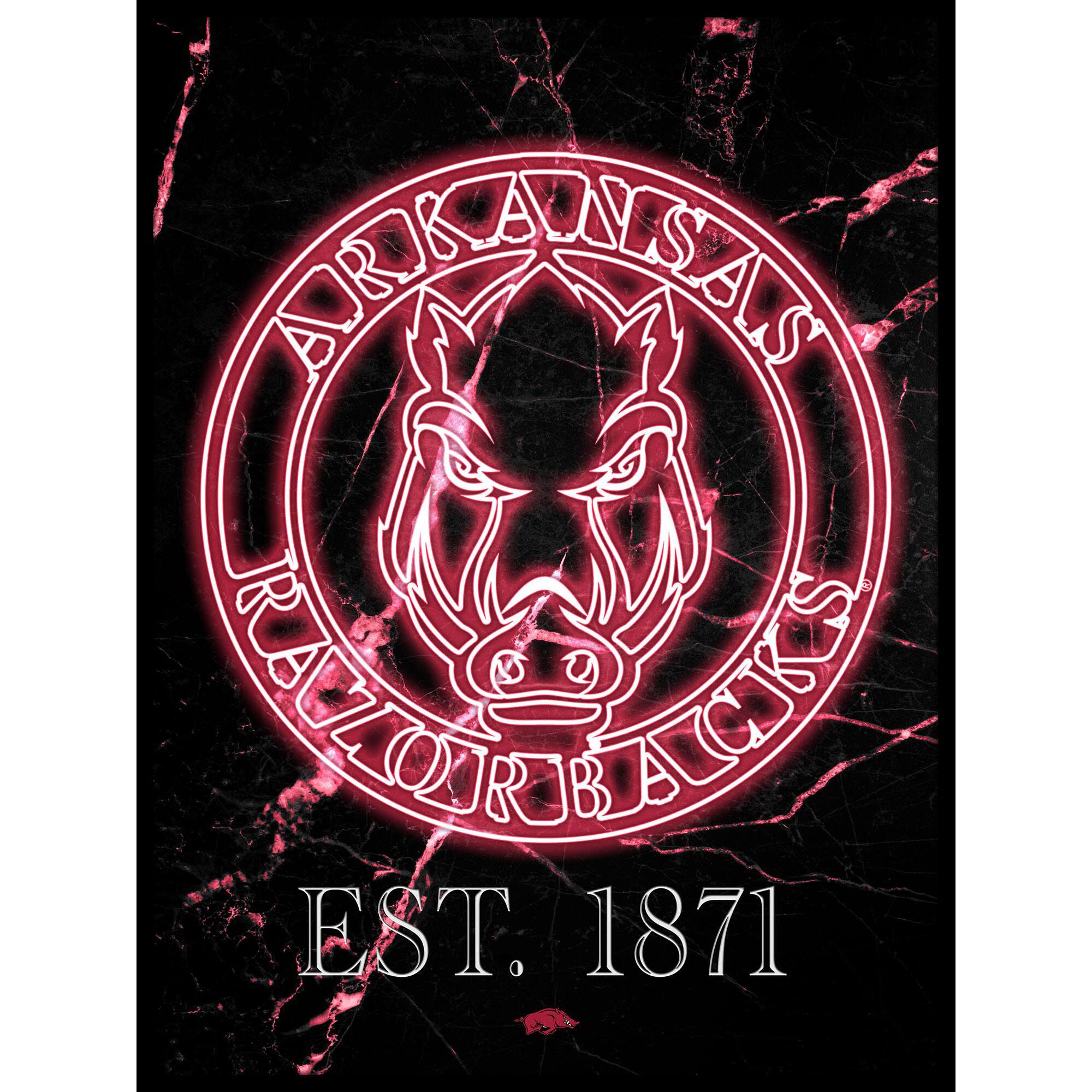 Fan Creations Arkansas Razorbacks 12'' x 16'' Framed Circle Logo Print ...