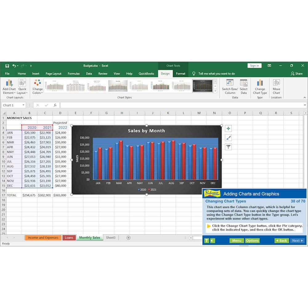 Customer Reviews: Individual Software Professor Teaches Excel 2019 ...