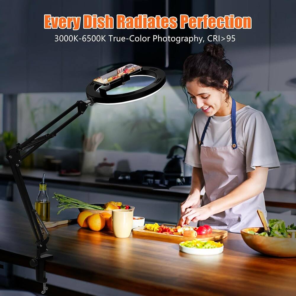 PARKER SLATER 10" clip on overhead ring light with phone mount, 360 ...