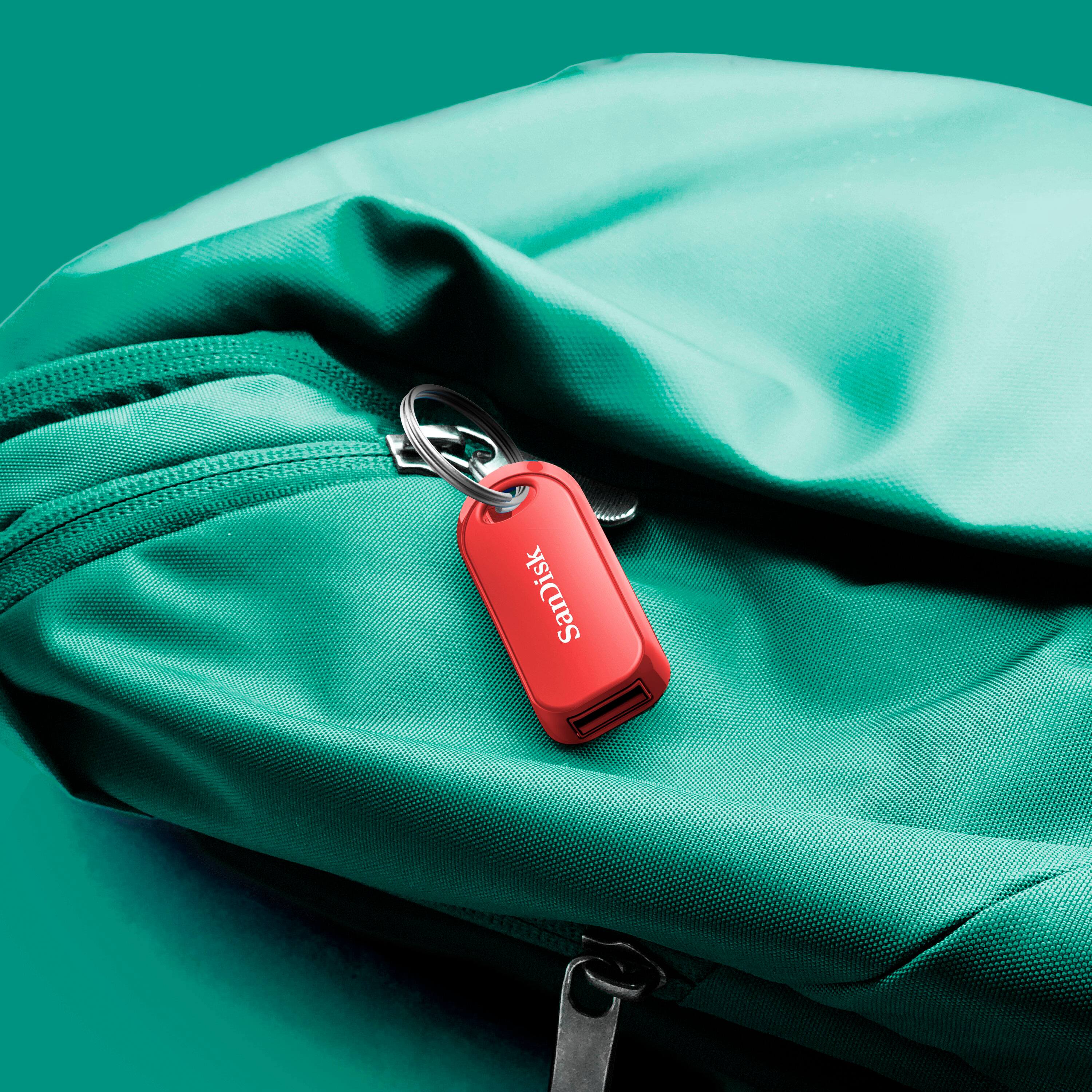 Customer Reviews: SanDisk Cruzer Snap 32GB USB 2.0 Type-A Flash Drive ...