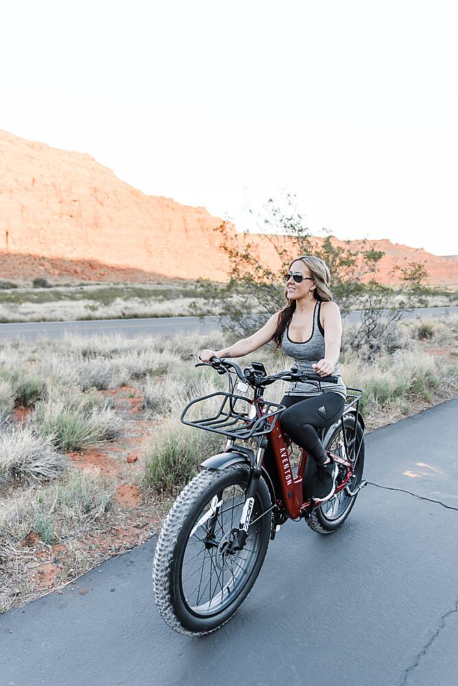 Customer Reviews: Aventon Aventure Front Rack One Size Fits All Black ...