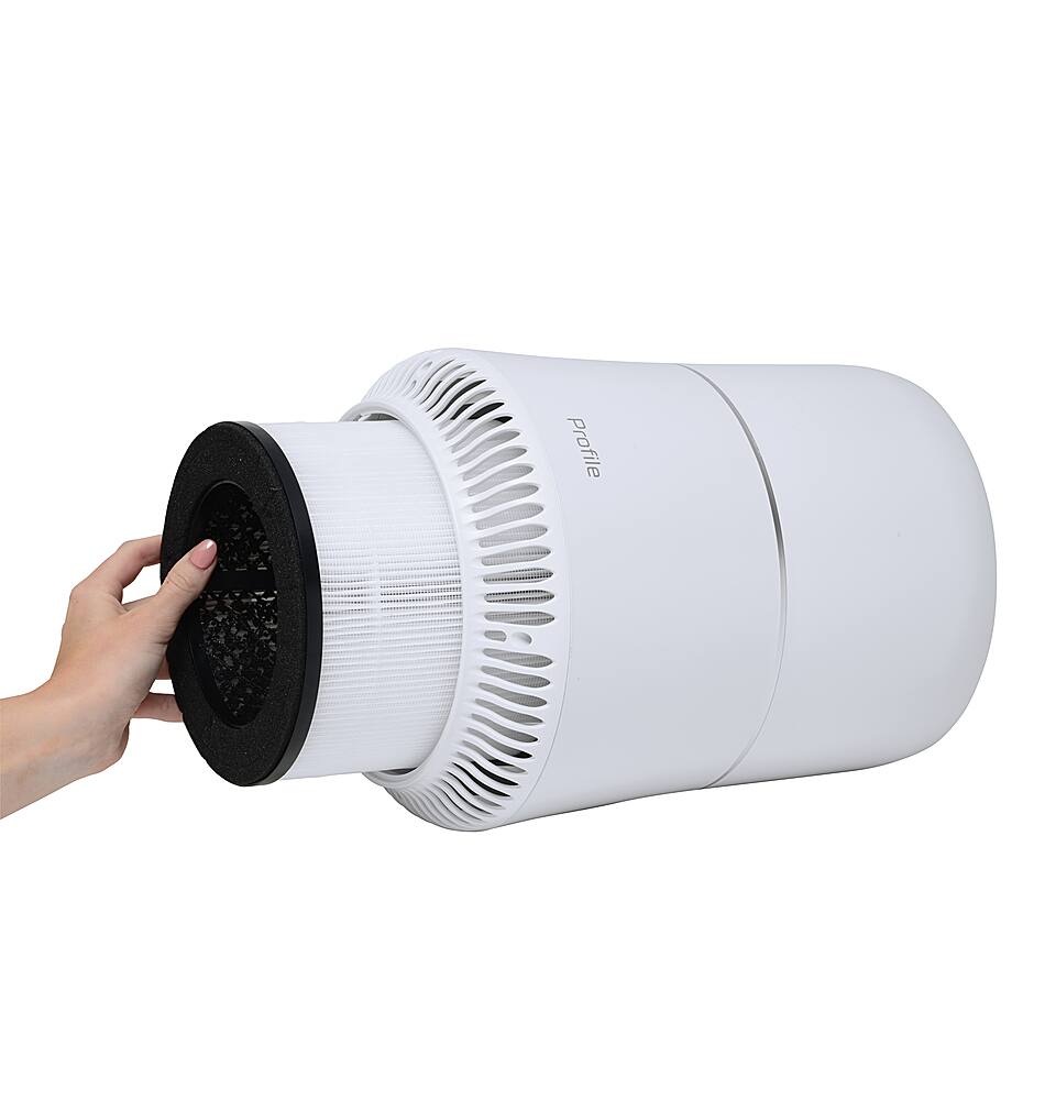 Profile 92 Sq. Ft Carbon Filter Air Purifier Eggshell White PFTS06AA ...