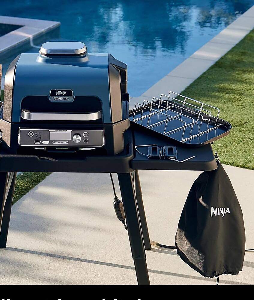 Ninja Woodfire Smart Thermometer, Compatible with OG900 Series ...