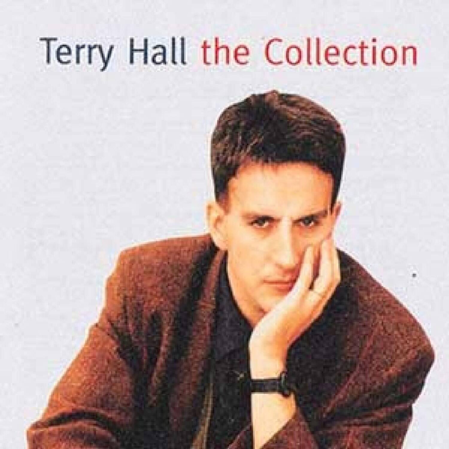 Terry Hall Terry Hall the Collection COMPACT DISCS [CD] - Best Buy