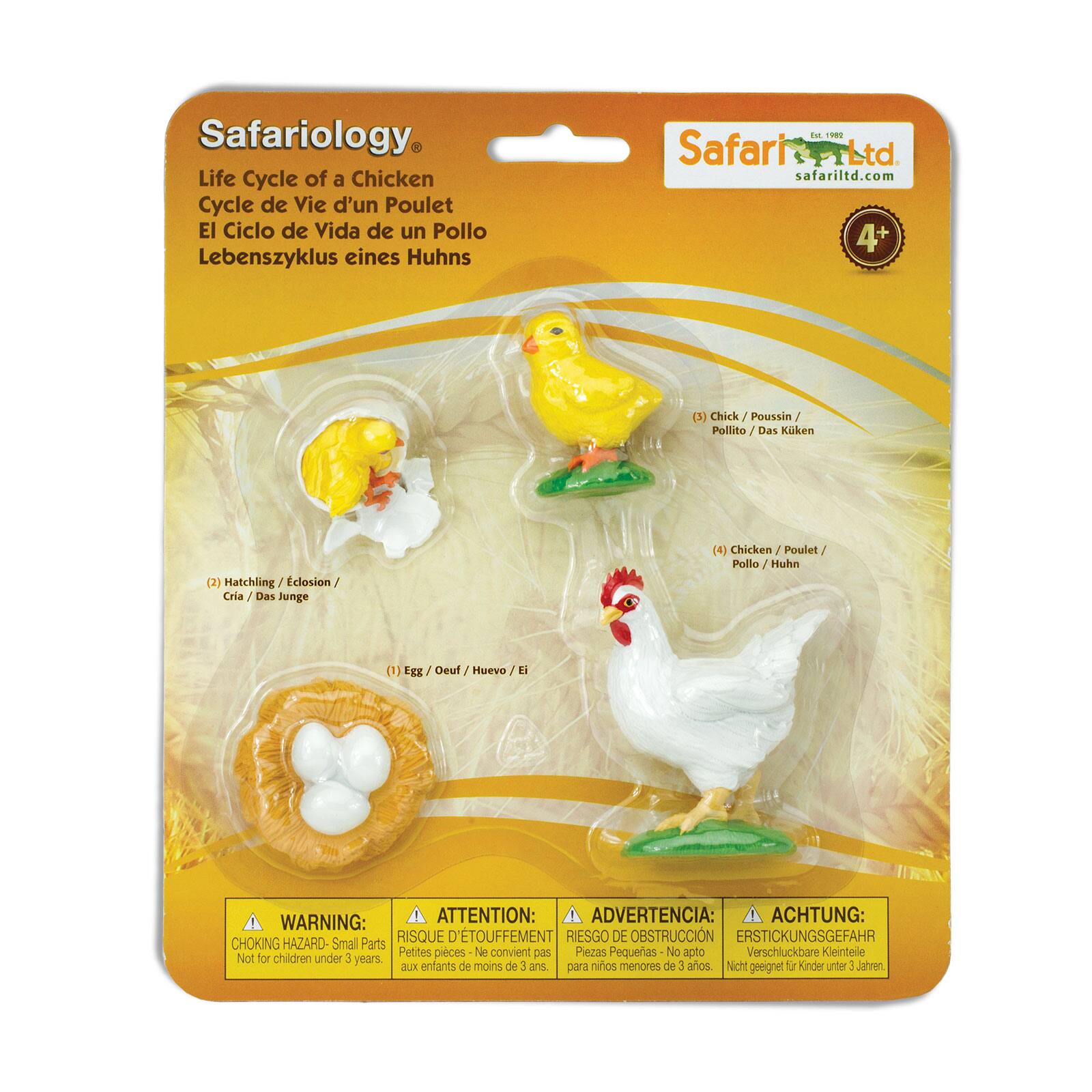 Safari Ltd. Life Cycle Of A Chicken Toy - Best Buy