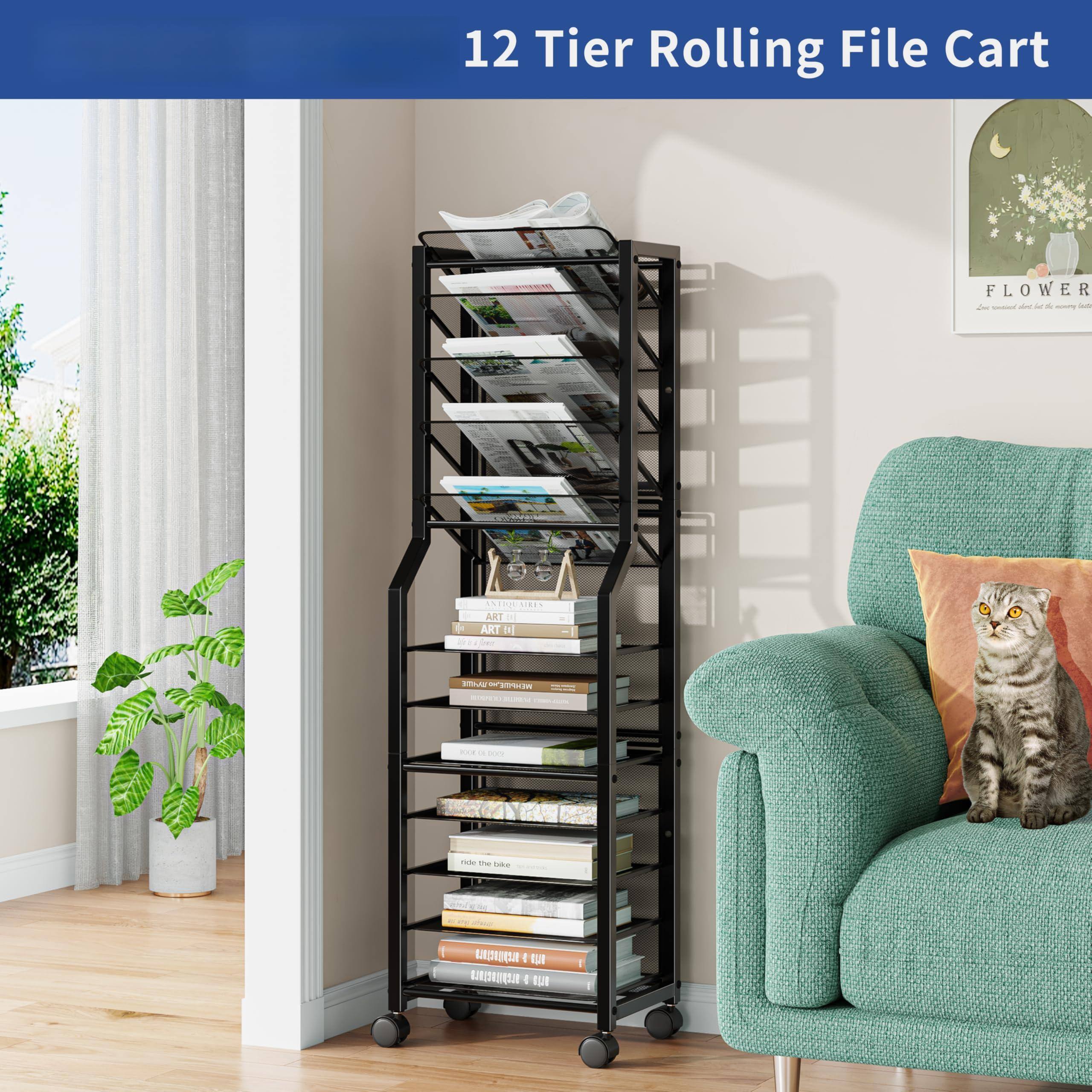 Paradigms Interiors 12 Tier Rolling File Cart Desk Organizer With ...