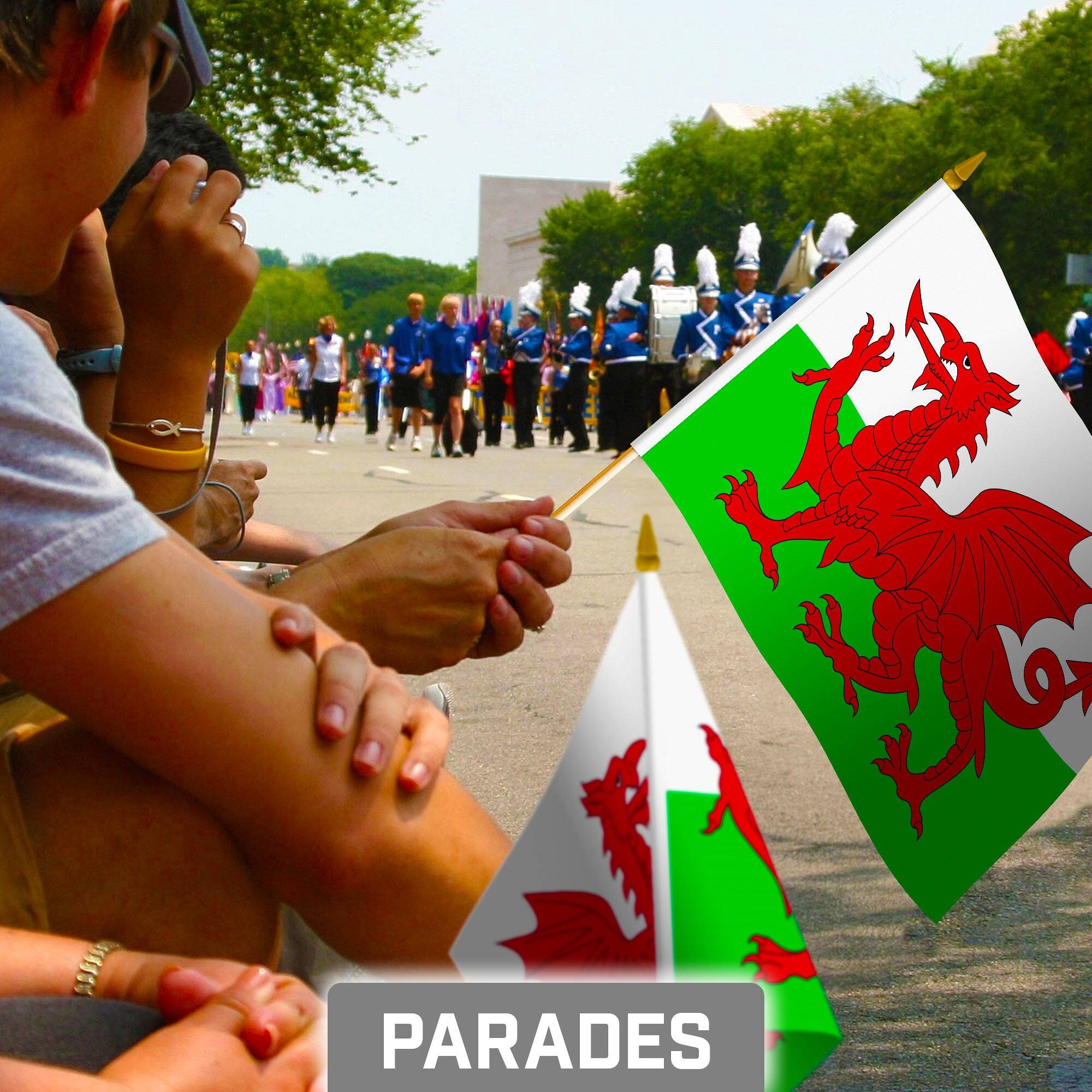 G128 30 Pack Wales Handheld Stick Flags, 8" x 12" Printed 150D ...