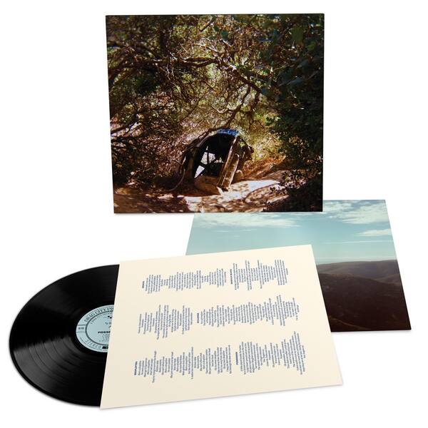 Possession [LP] [VINYL] - Best Buy